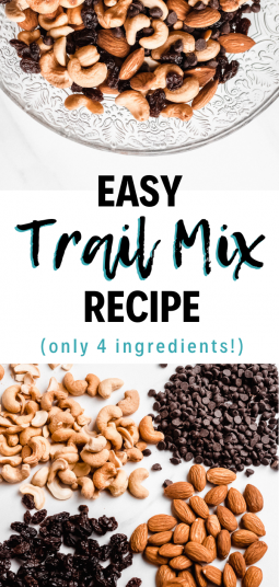 Trail Mix Recipe (Only 4 Ingredients!)